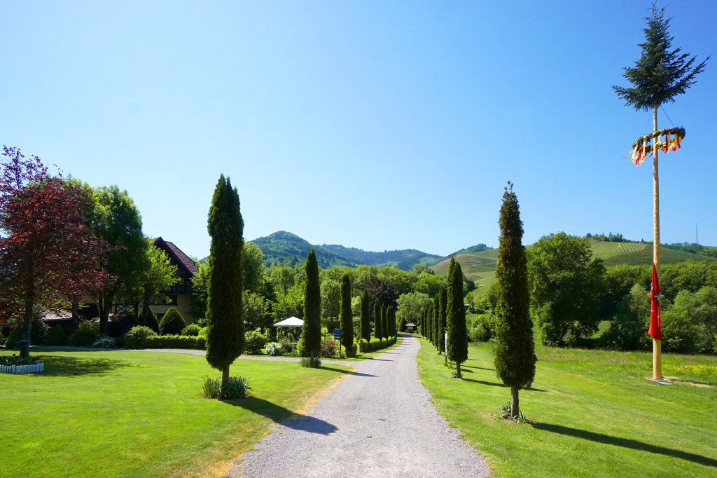 der Rebstock Park - Der Rebstock - Hotel Restaurant Rebstock Durbach