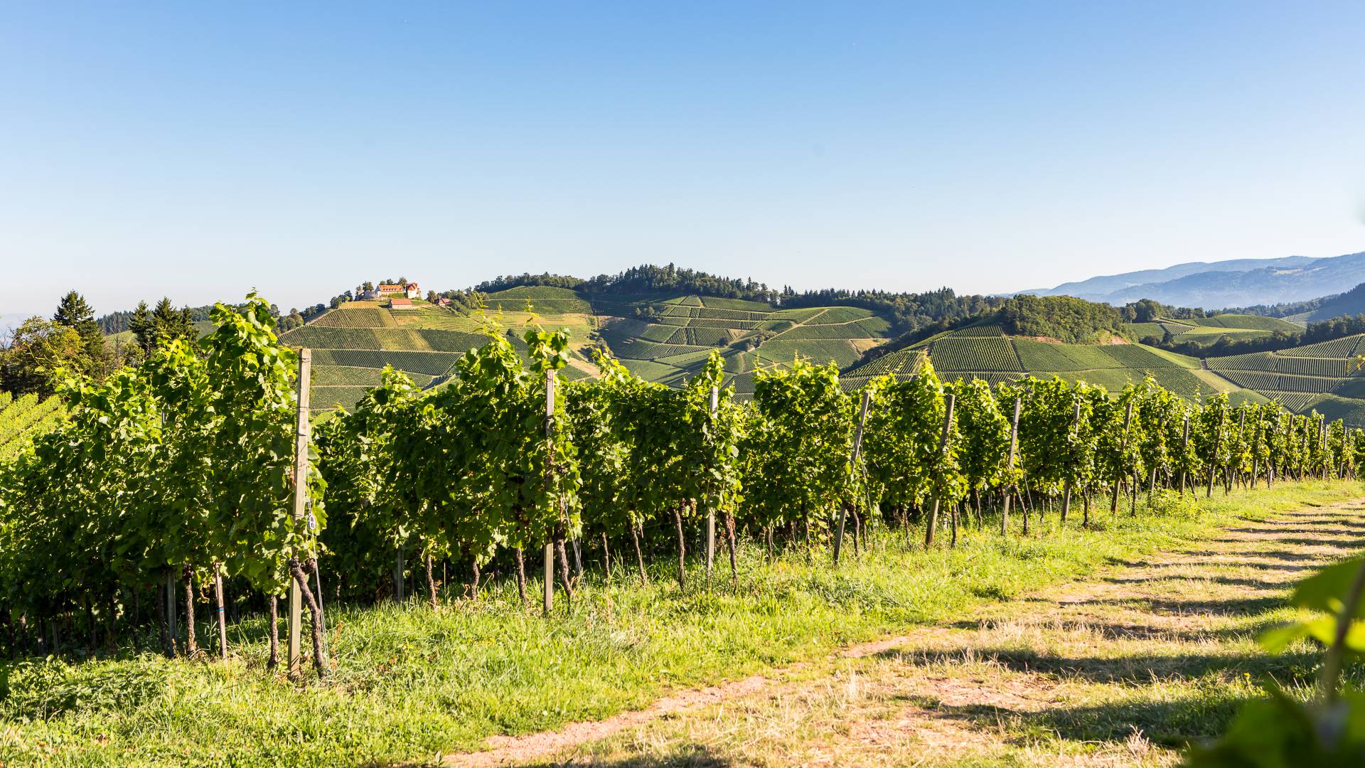 Ein schönes Familienhotel im Schwarzwald - Rebstock Durbach - Hotel ...